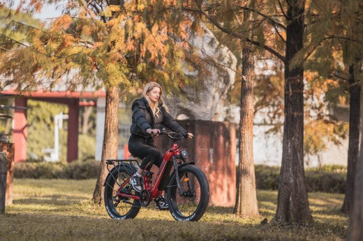 Step-Over vs. Step-Through: The Ultimate Bike Frame Comparison ...