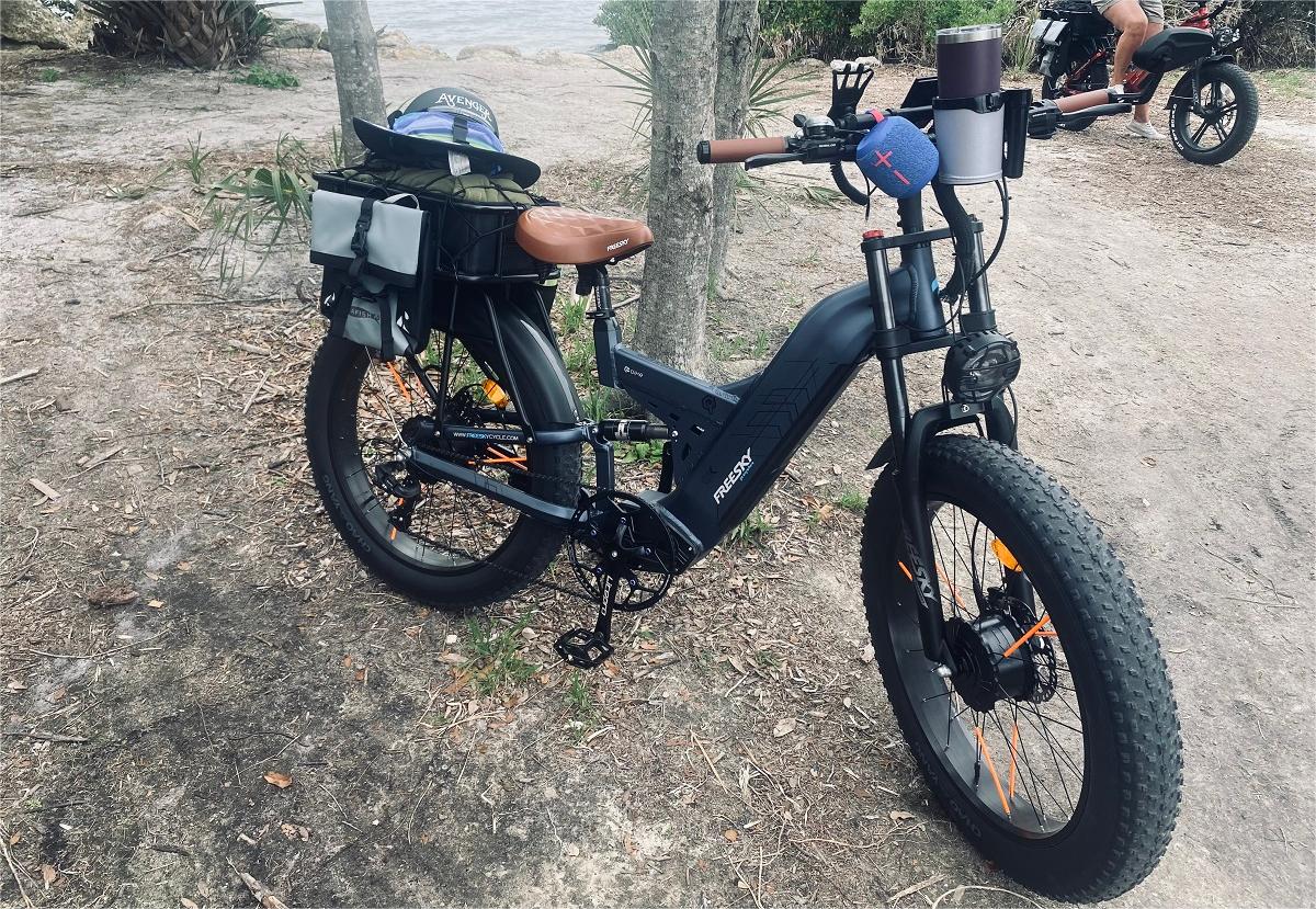 Dual Motor Electric Mountain Bike | Freesky Electric Bike Warrior Pro M-530 – Freeskycycle eBike