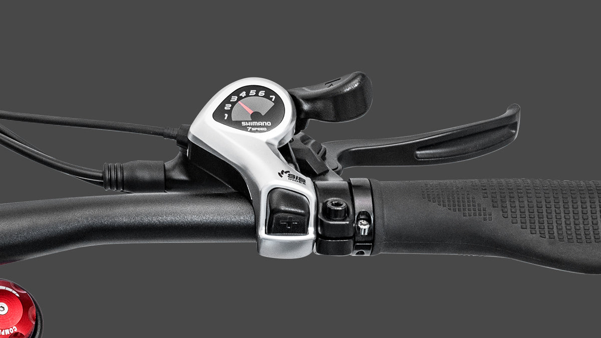 Freesky 1000W Electric Mountain Bike with Rear Rack | Swift Horse Pro X ...