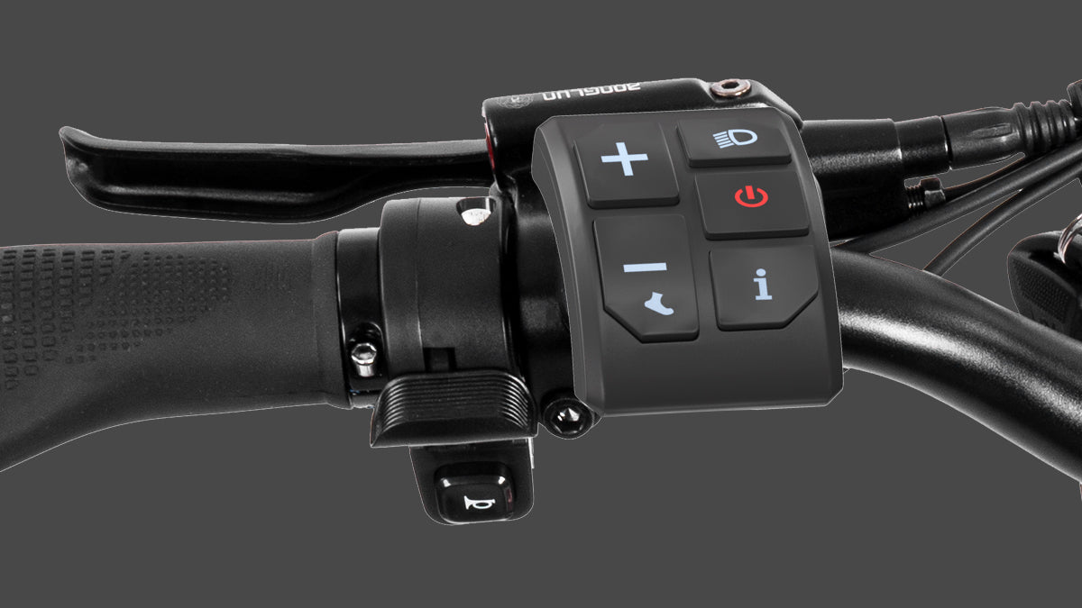 Freesky 1000W Electric Mountain Bike with Rear Rack | Swift Horse Pro X ...