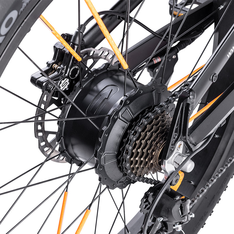 Motor | Freesky Electric Bike – Freeskycycle eBike