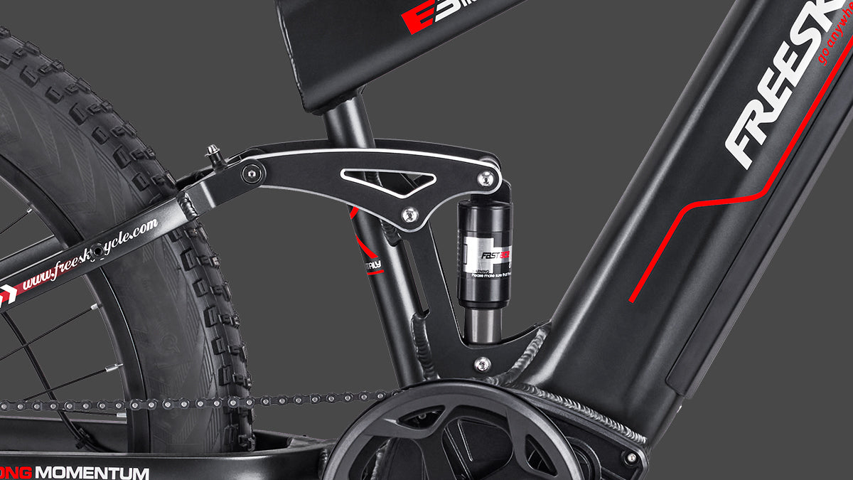 Dual Battery All-terrian Electric Bike | Alaska Pro M-520 ...