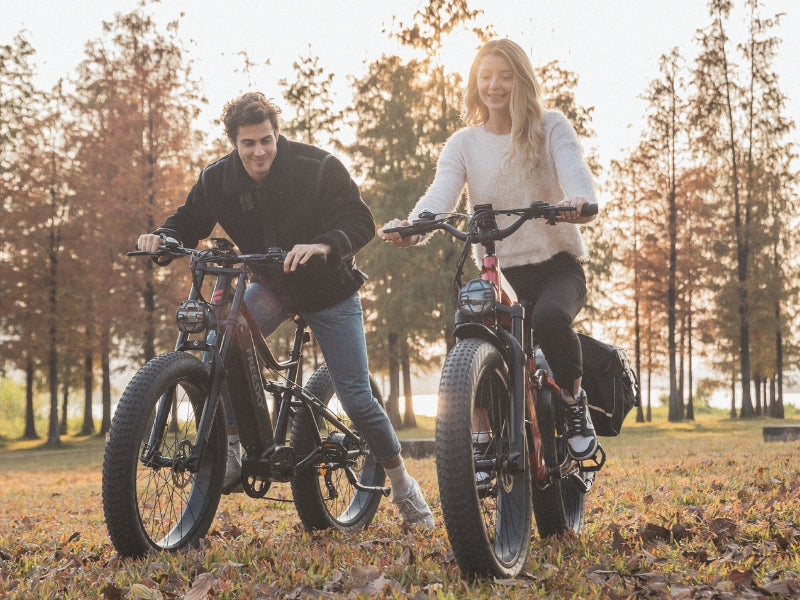 Freeskycycle eBike | Freesky 1000W Electric Mountain Bike with Rear ...