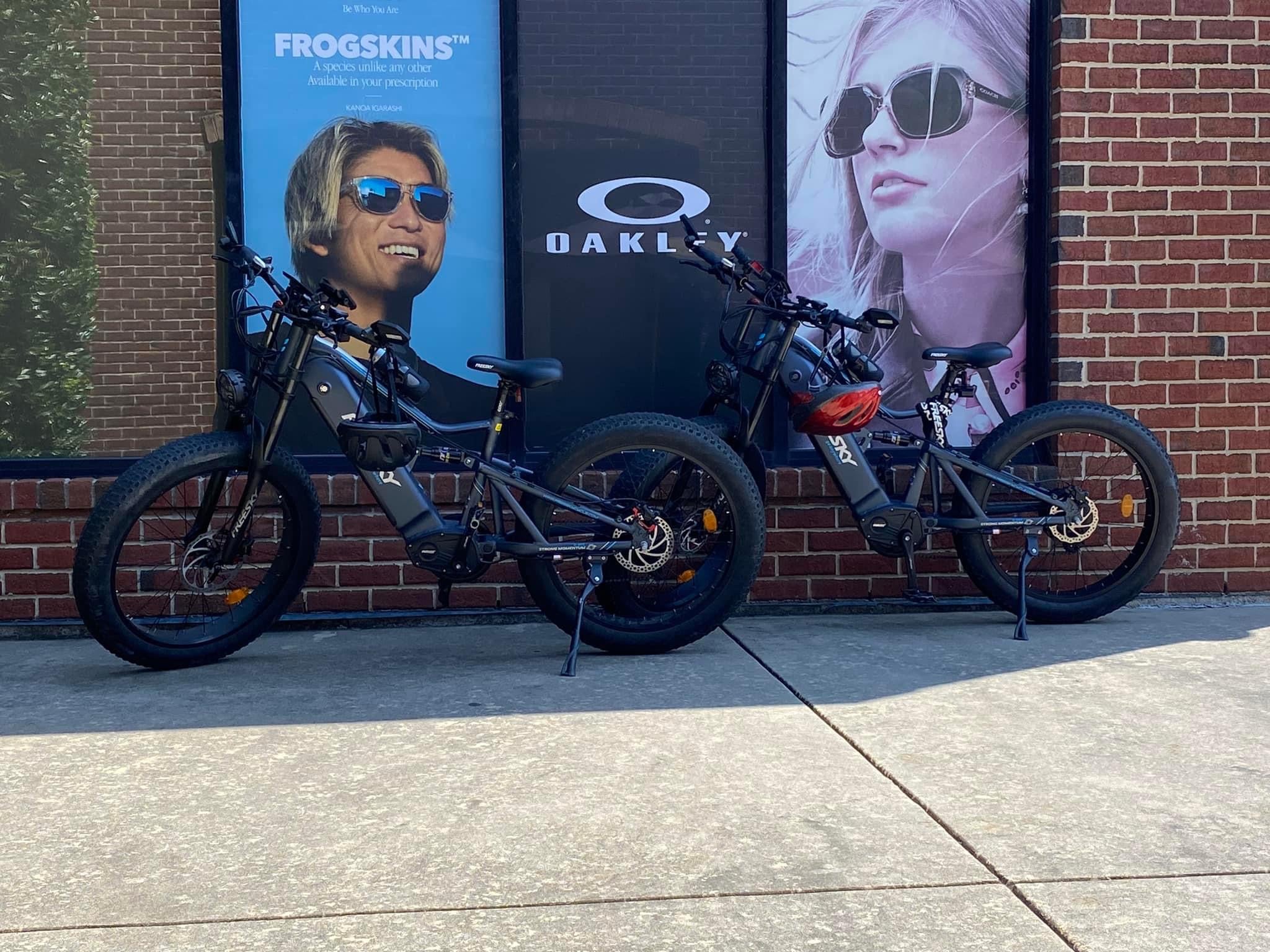 Freesky 1000W Electric Mountain Bike with Rear Rack | Swift Horse Pro X ...