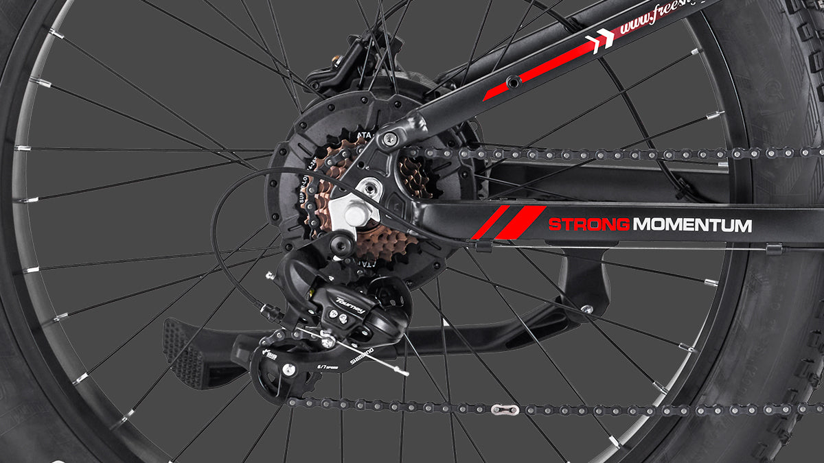 Dual Battery All-terrian Electric Bike | Alaska Pro M-520 ...